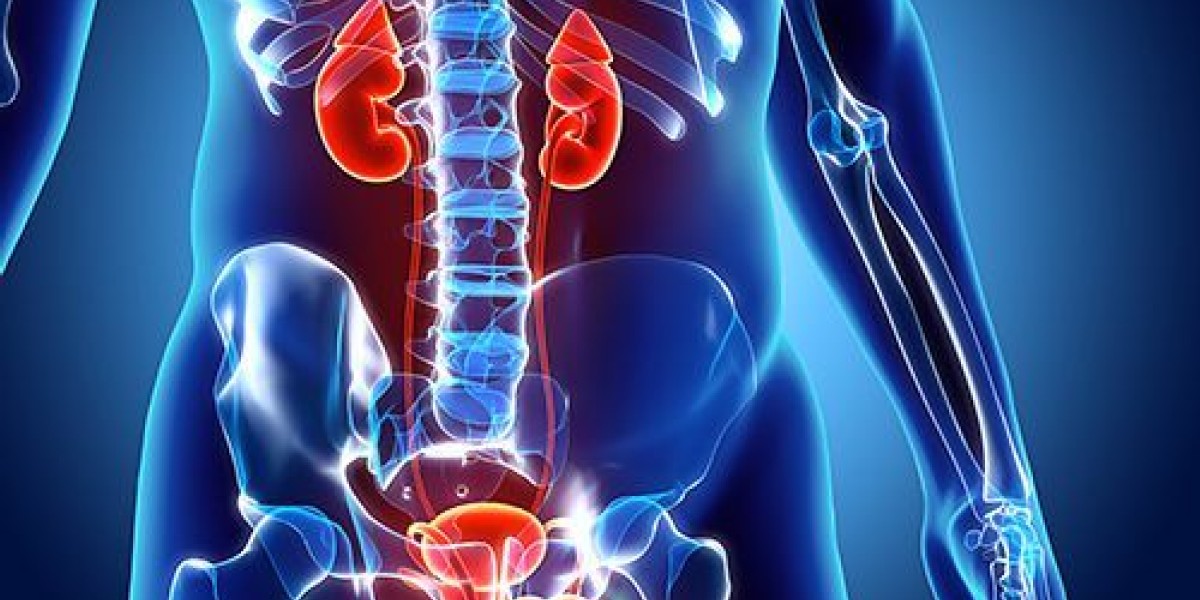 The Spirits of the Points: Upper Kidney & Outer Bladder Line ...