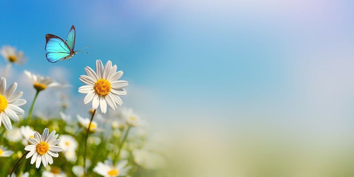 Springing Forward: Unique Applications of the Four Gates | Acupuncture ...