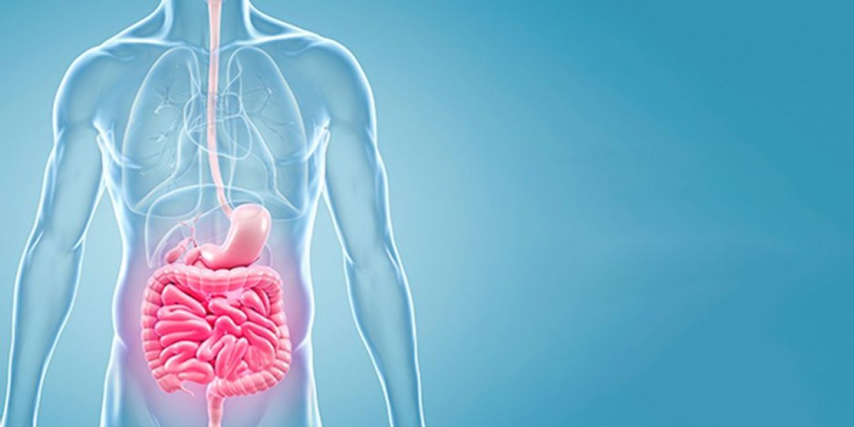 Spirits of the Points: Large Intestine Official | Acupuncture Today