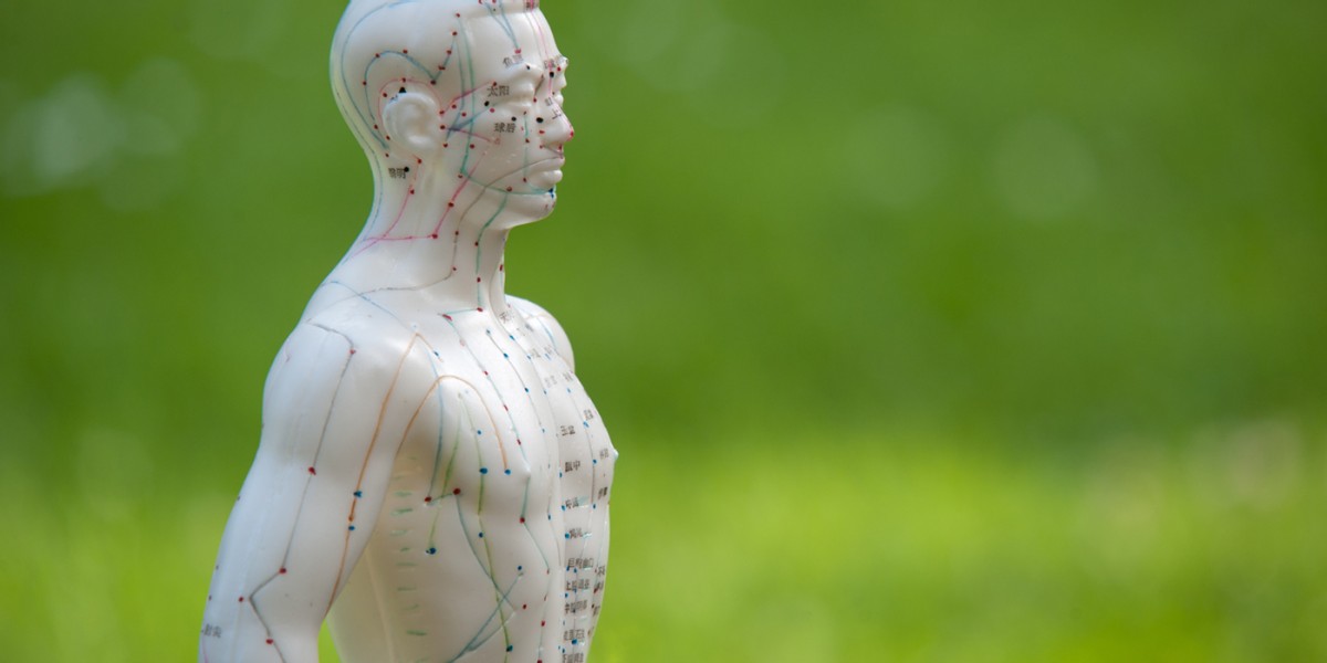The Anatomy of Acupuncture Meridians | Acupuncture Today