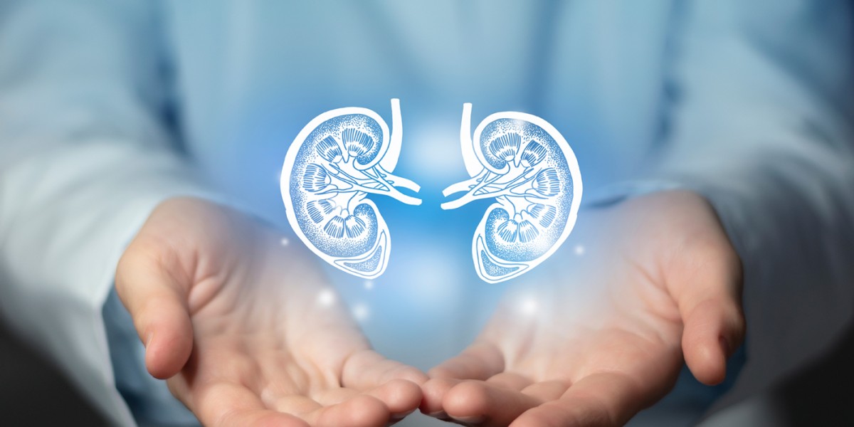 Spirits of the Points: The Kidney Meridian (Pt. 3) | Acupuncture Today
