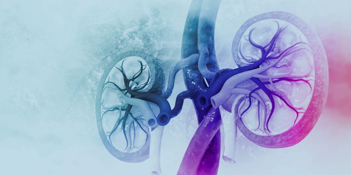 Spirits of the Points: Kidney Meridian (Pt. 4) | Acupuncture Today
