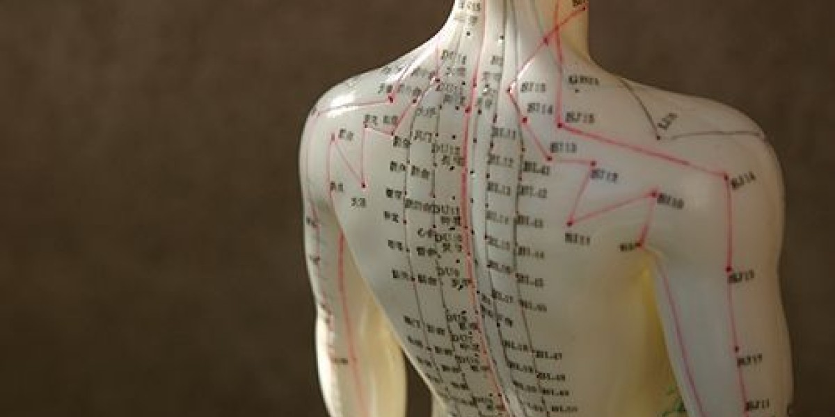 Acupuncture & Magnetic Field Therapy | Acupuncture Today