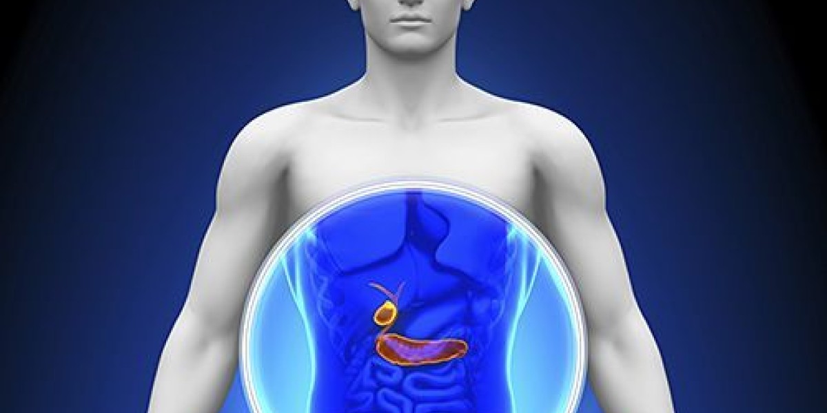 The Gall Bladder: The Official of Decision Making and Judgment ...
