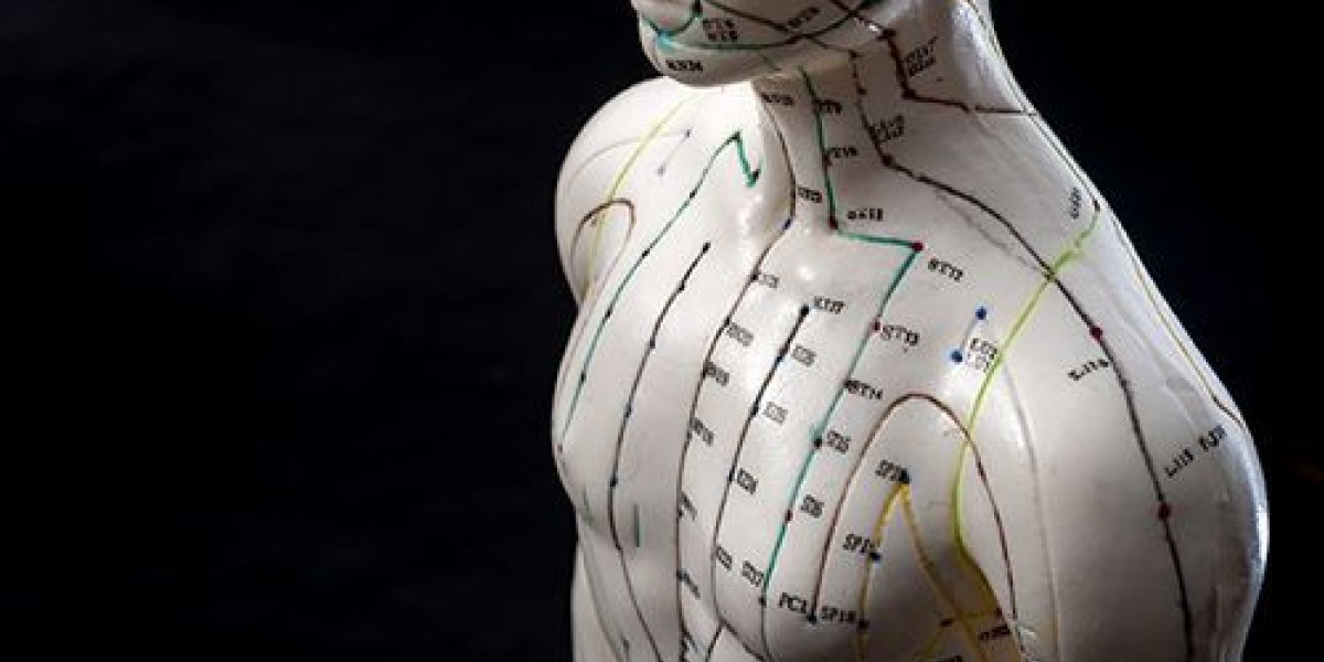 The Spirit of the Points: The Pericardium Meridian (Part 2 ...