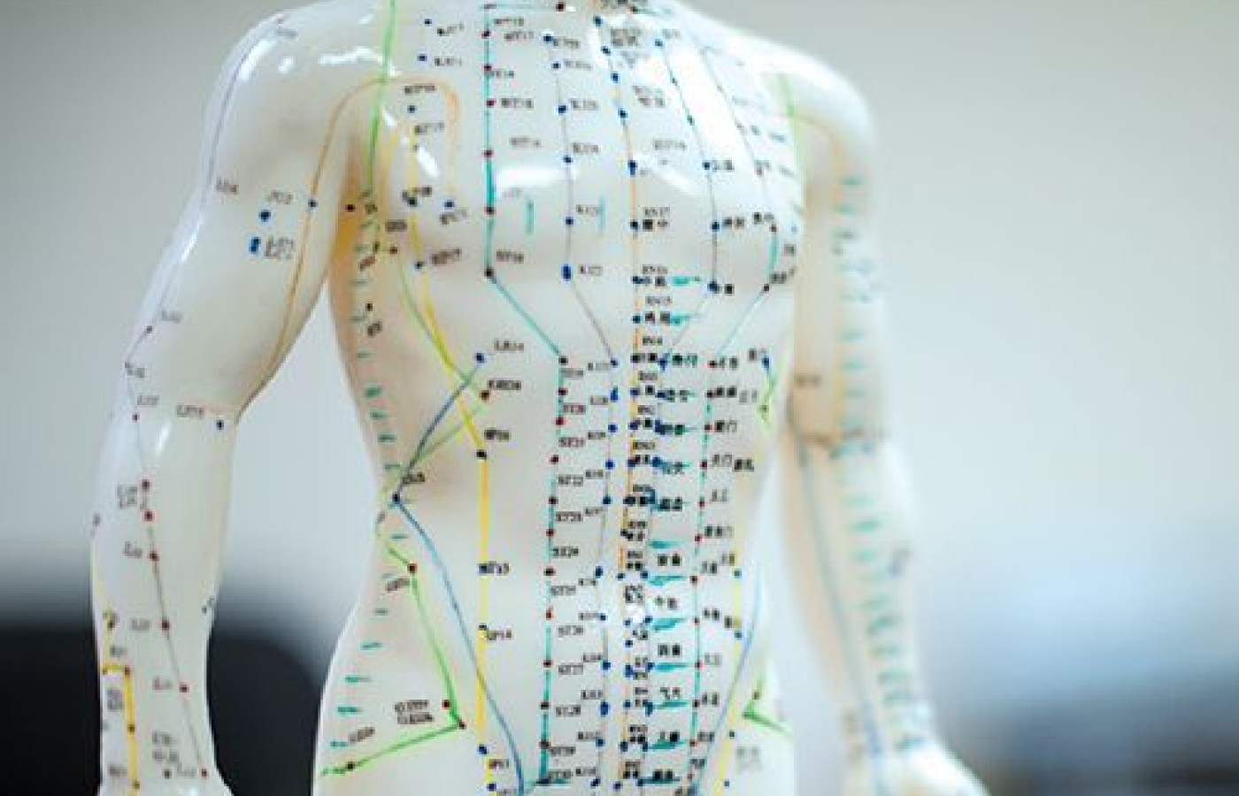 Learning the Transformative Language of the Channel System: The Sinew ...